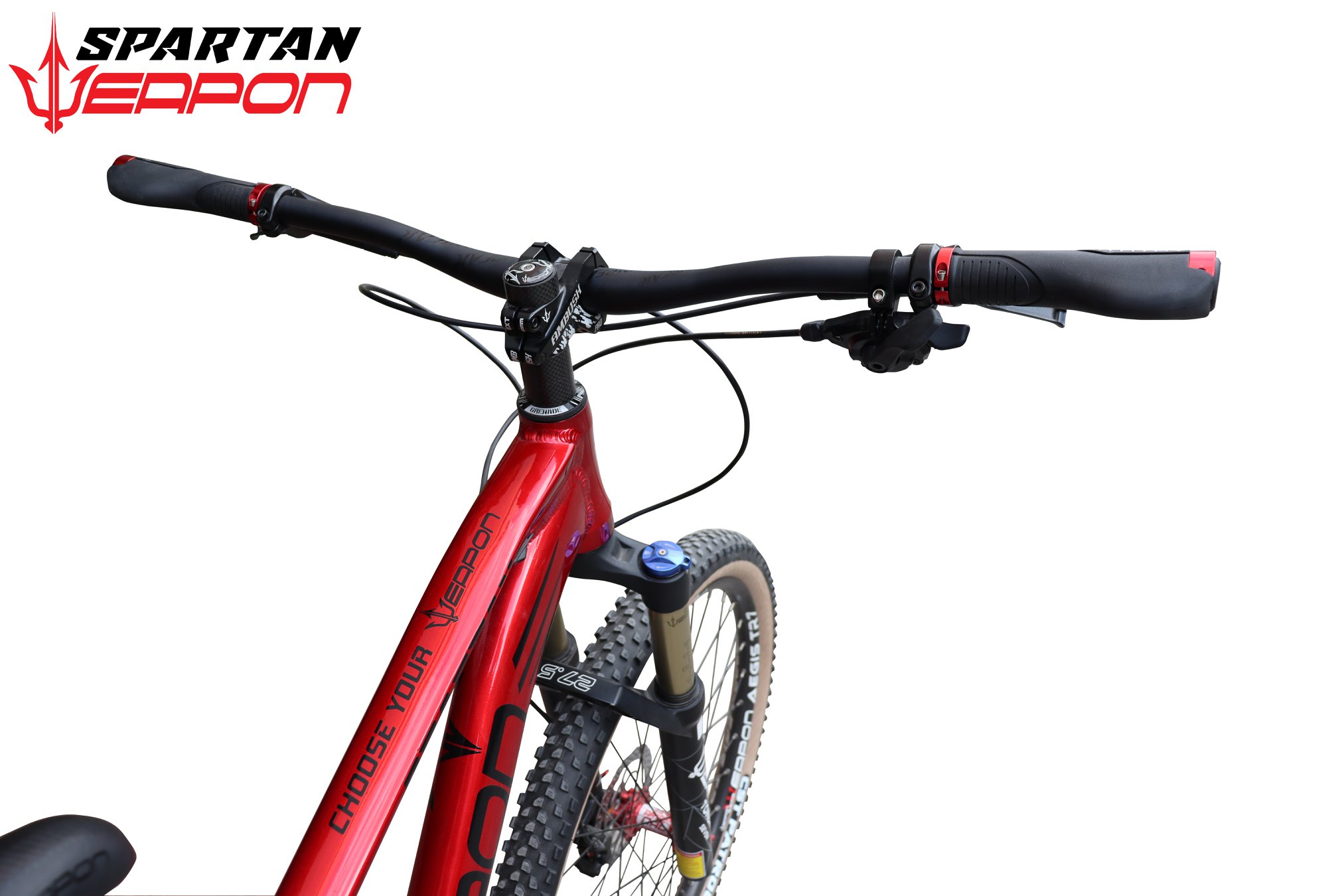 Spartan Frame (2020) – Weapon Bike